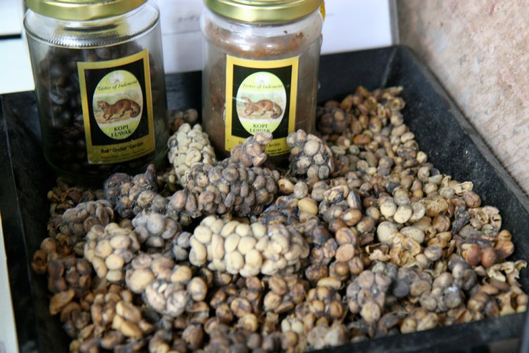 World’s Best “Weasel” Coffee! Bring On The Kopi Luwak! Yes, It’s “Poop ...