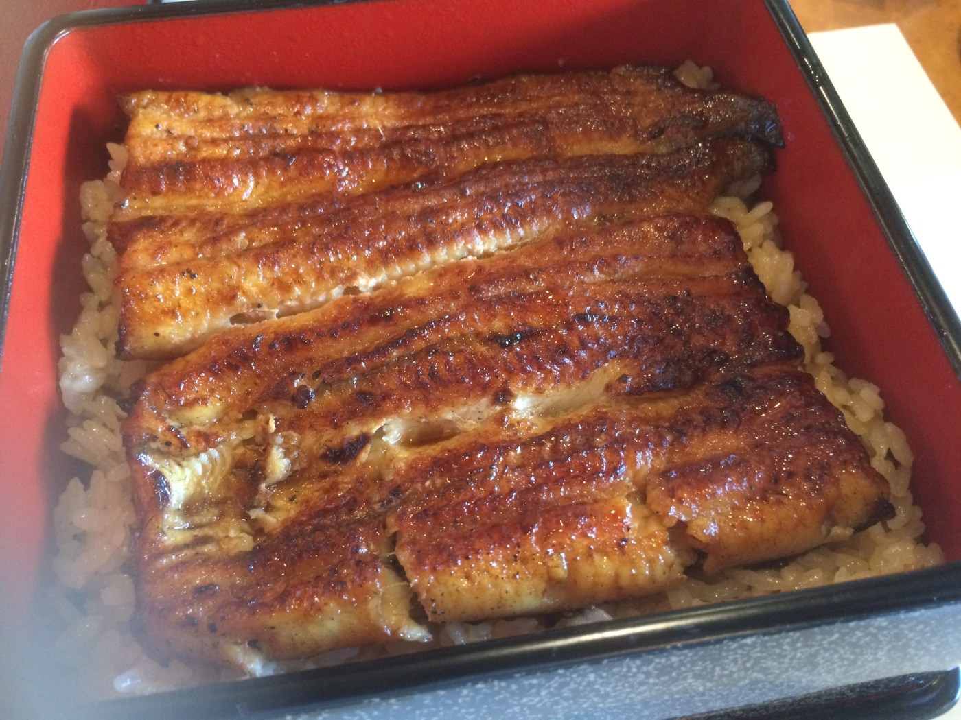 The Magic Of Tokyo 2016! Eel Waiting Rooms! Golden Gai Drinking! Cat ...