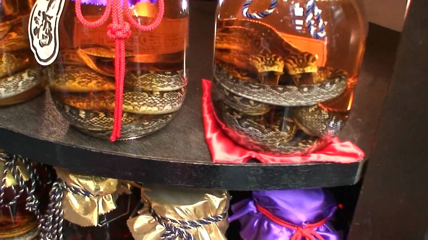 Deadly “Hubu” In A Bottle! Yes, Drink Some “Snake Sake!” It’s Wine With ...