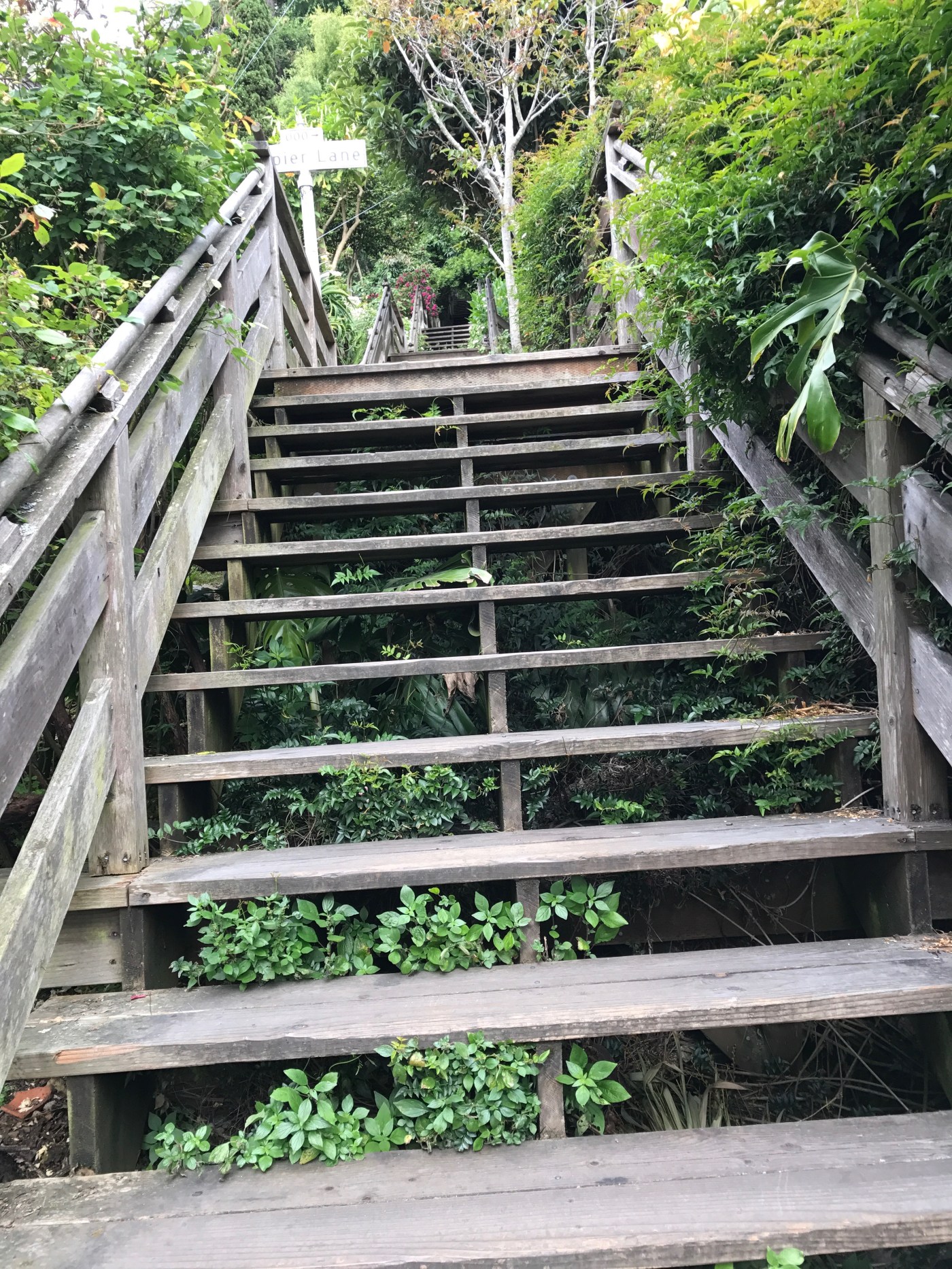 “Hitch Hiking” #5! We Climb San Francisco’s Legendary Coit Tower ...
