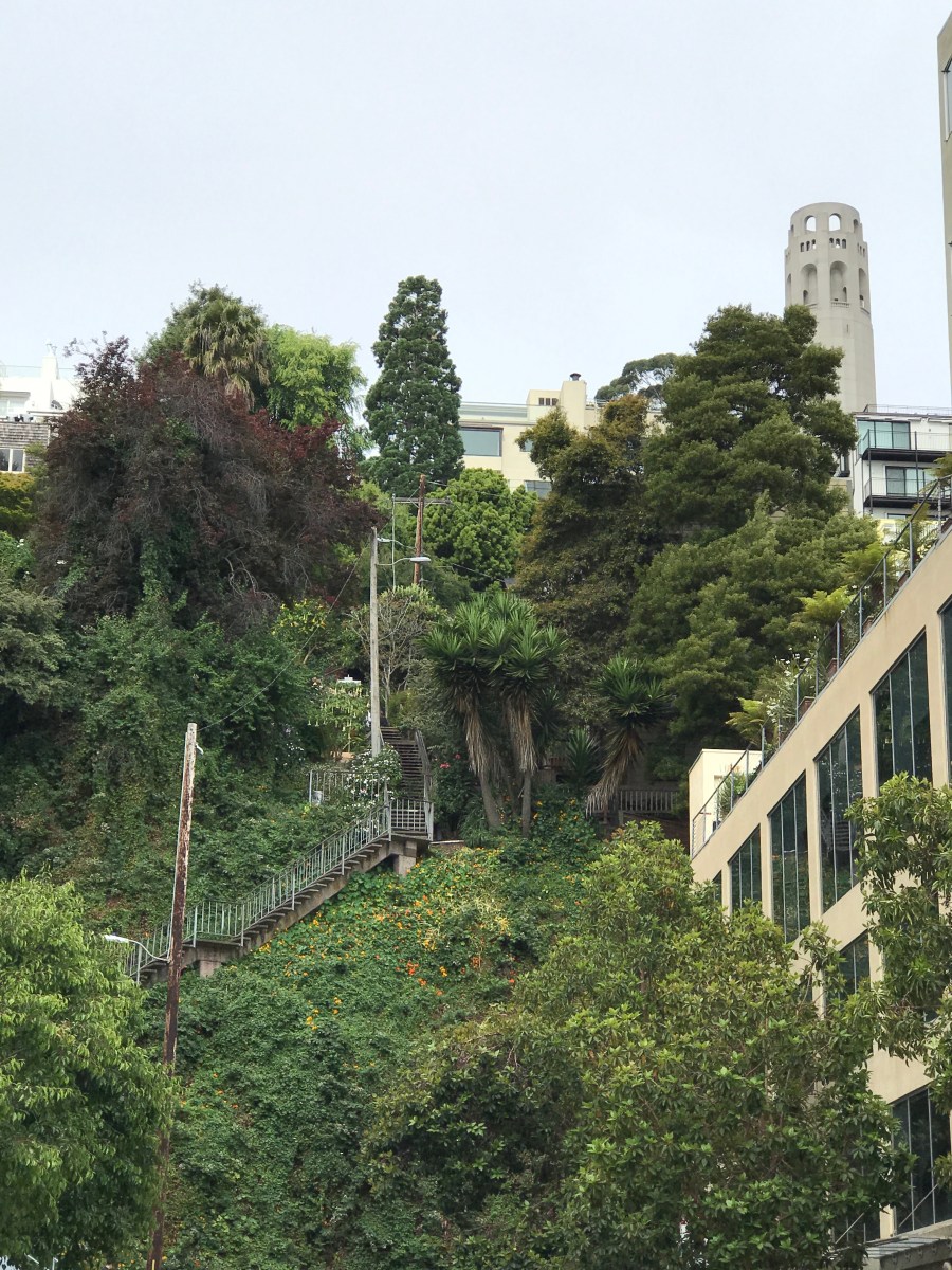 “Hitch Hiking” #5! We Climb San Francisco’s Legendary Coit Tower ...