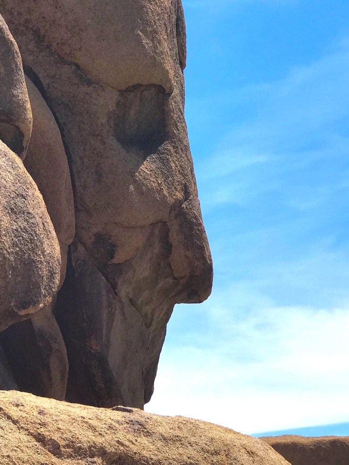 Exploring Joshua Tree! Our “Hitch Hiking” Adventure Has “Skull Rock ...
