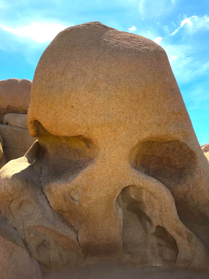 Exploring Joshua Tree! Our “Hitch Hiking” Adventure Has “Skull Rock ...
