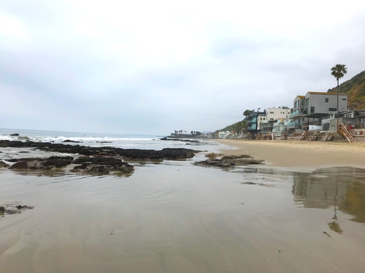 Wild Blue Jellyfish Invade Malibu! These Unique “By-The Wind” Sailors ...