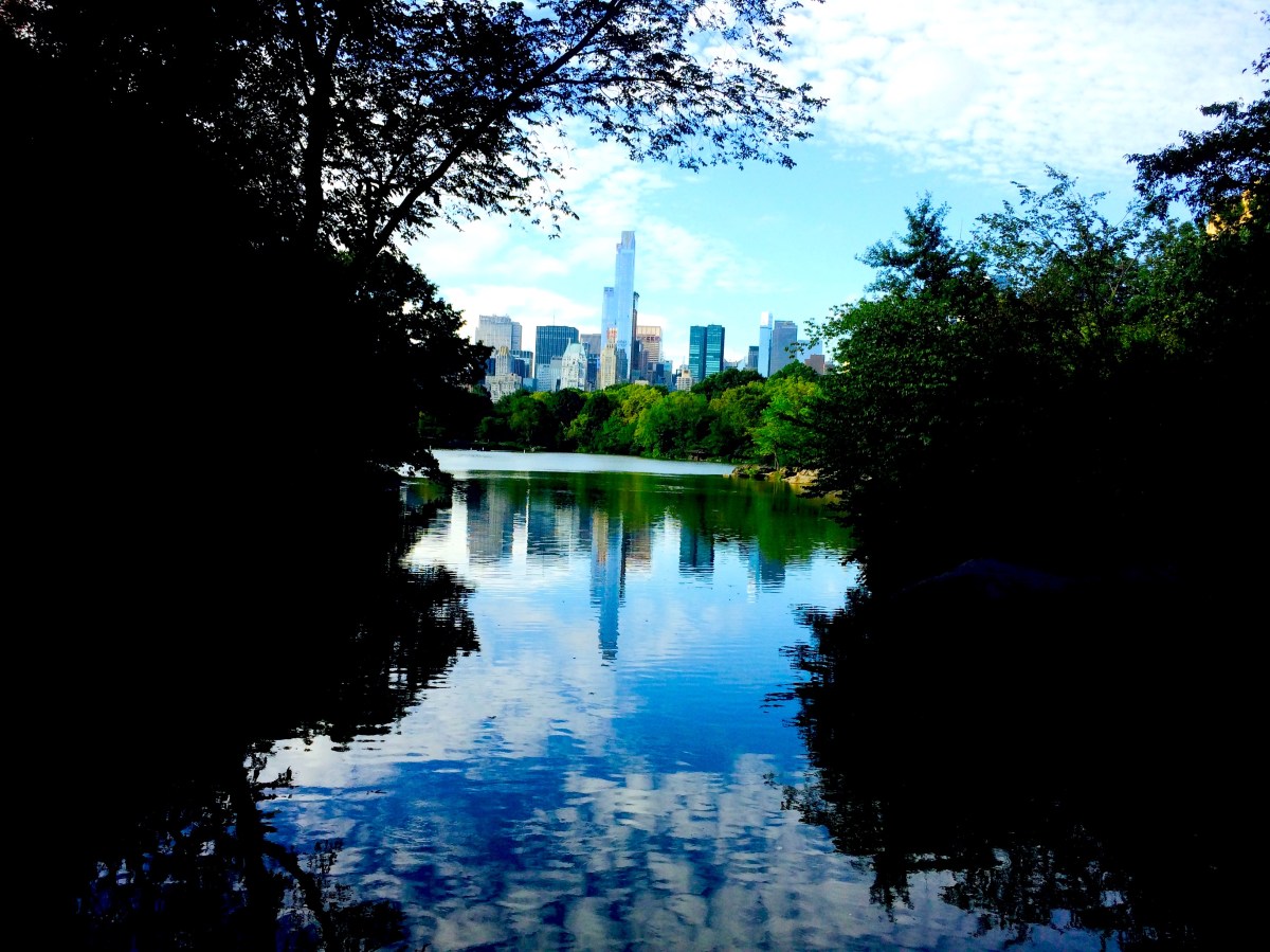“Hitch Hiking” 196 Blocks Through New York’s Central Park! Peering Into ...