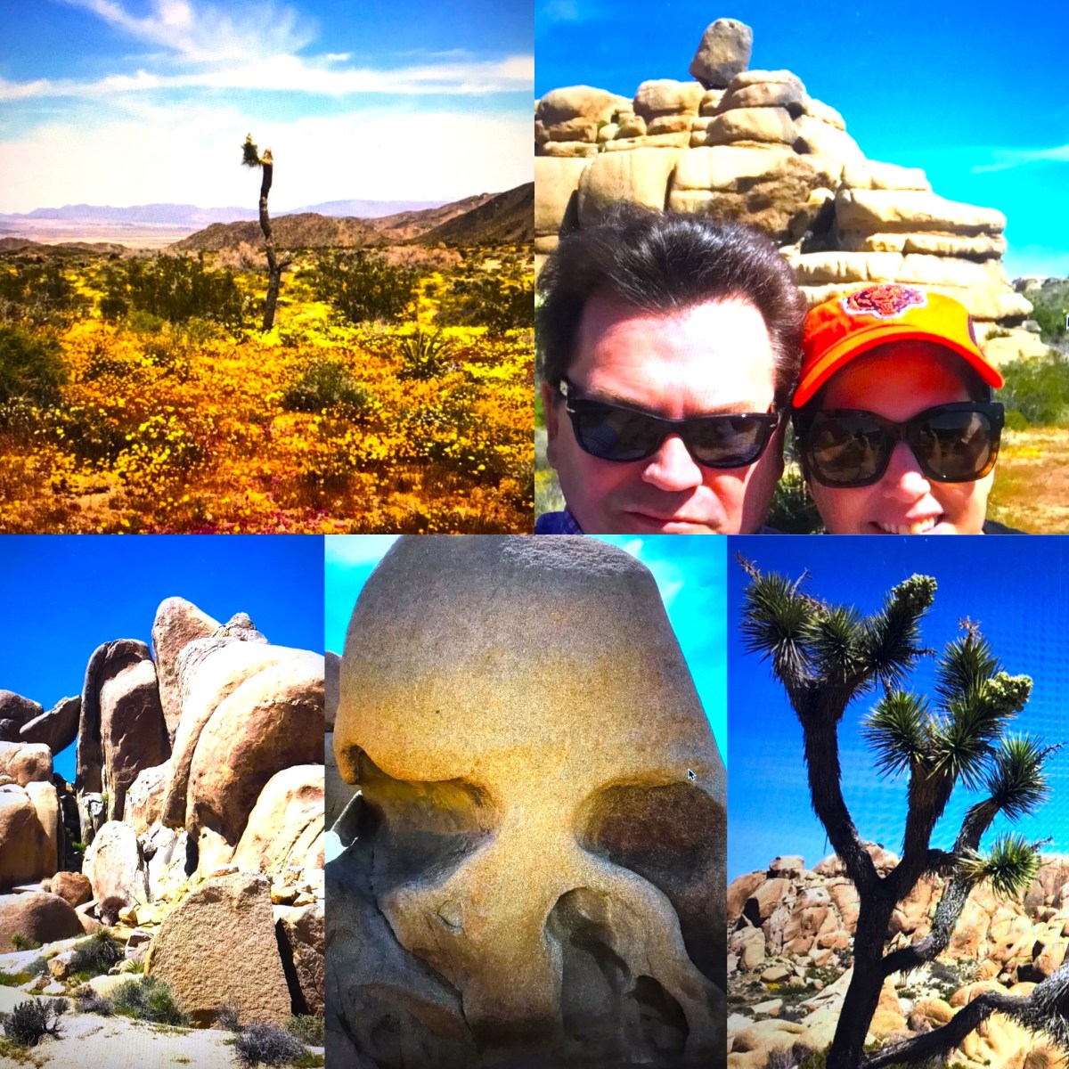 Exploring Joshua Tree! Our “Hitch Hiking” Adventure Has “Skull Rock ...