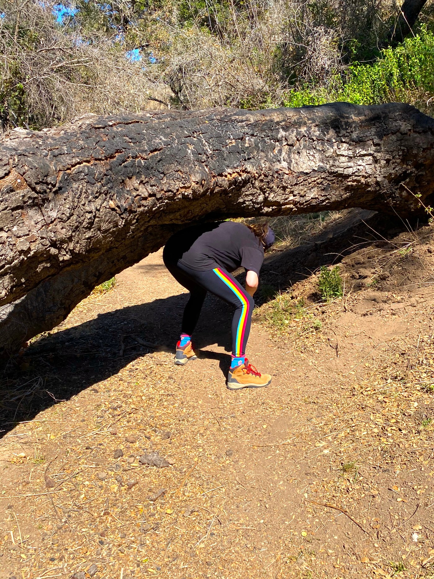 Hiking Solstice Canyon! Malibu’s Nature Trail! A Waterfall! The Remains ...