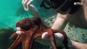 Bravo “My Octopus Teacher!” Academy Award Best Documentary Nominee ...