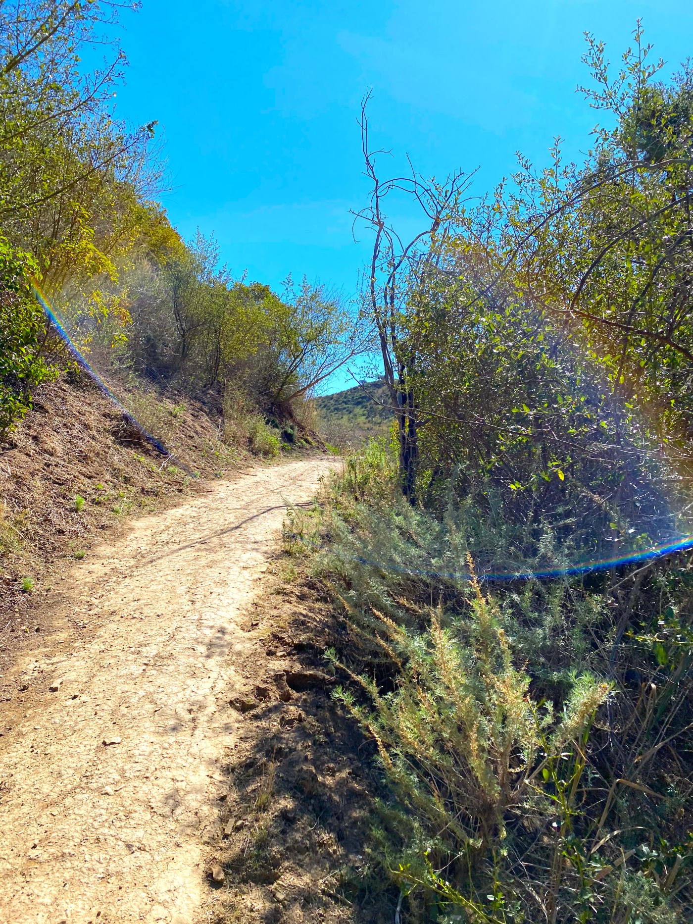 Hiking Solstice Canyon! Malibu’s Nature Trail! A Waterfall! The Remains ...