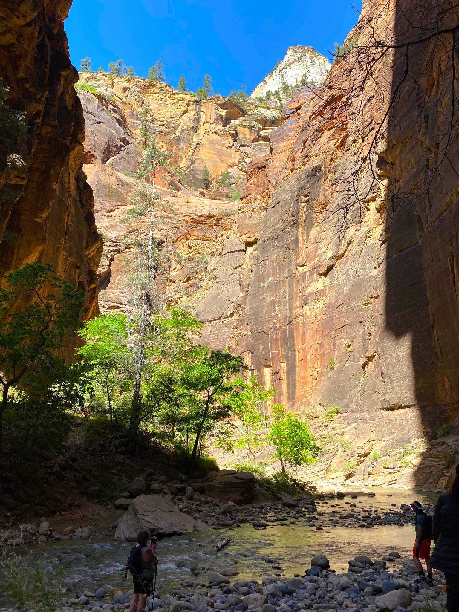 Hiking “The Narrows!” Incredible Views On A Water-Logged “Virgin River ...
