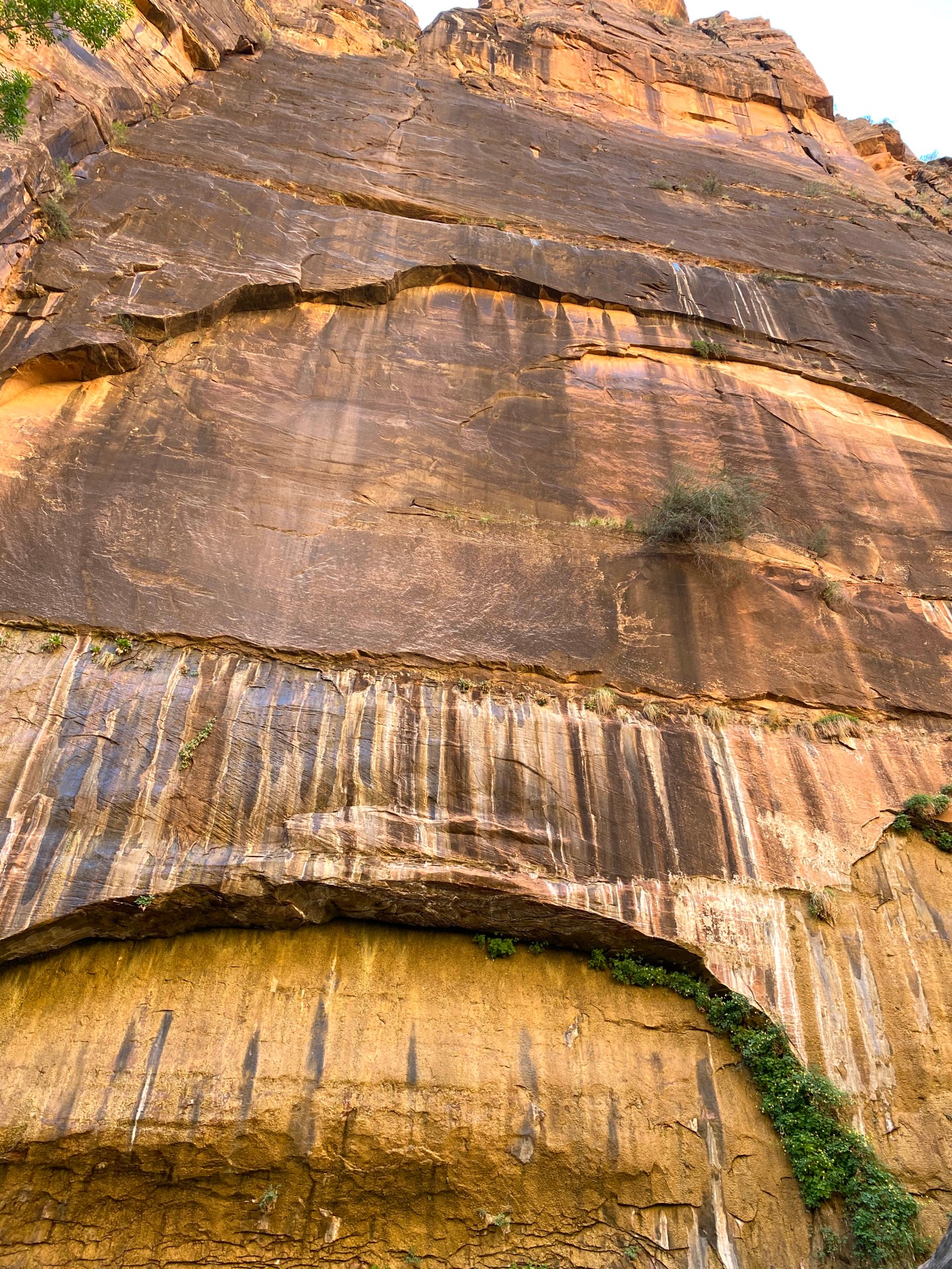 Hiking “The Narrows!” Incredible Views On A Water-Logged “Virgin River ...