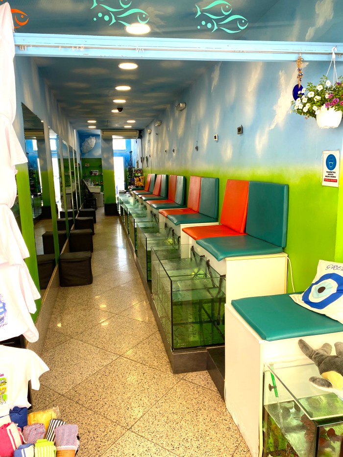 A Fish Pedicure! It’s Real – And I Had It! Welcome To Santorini’s Fish ...