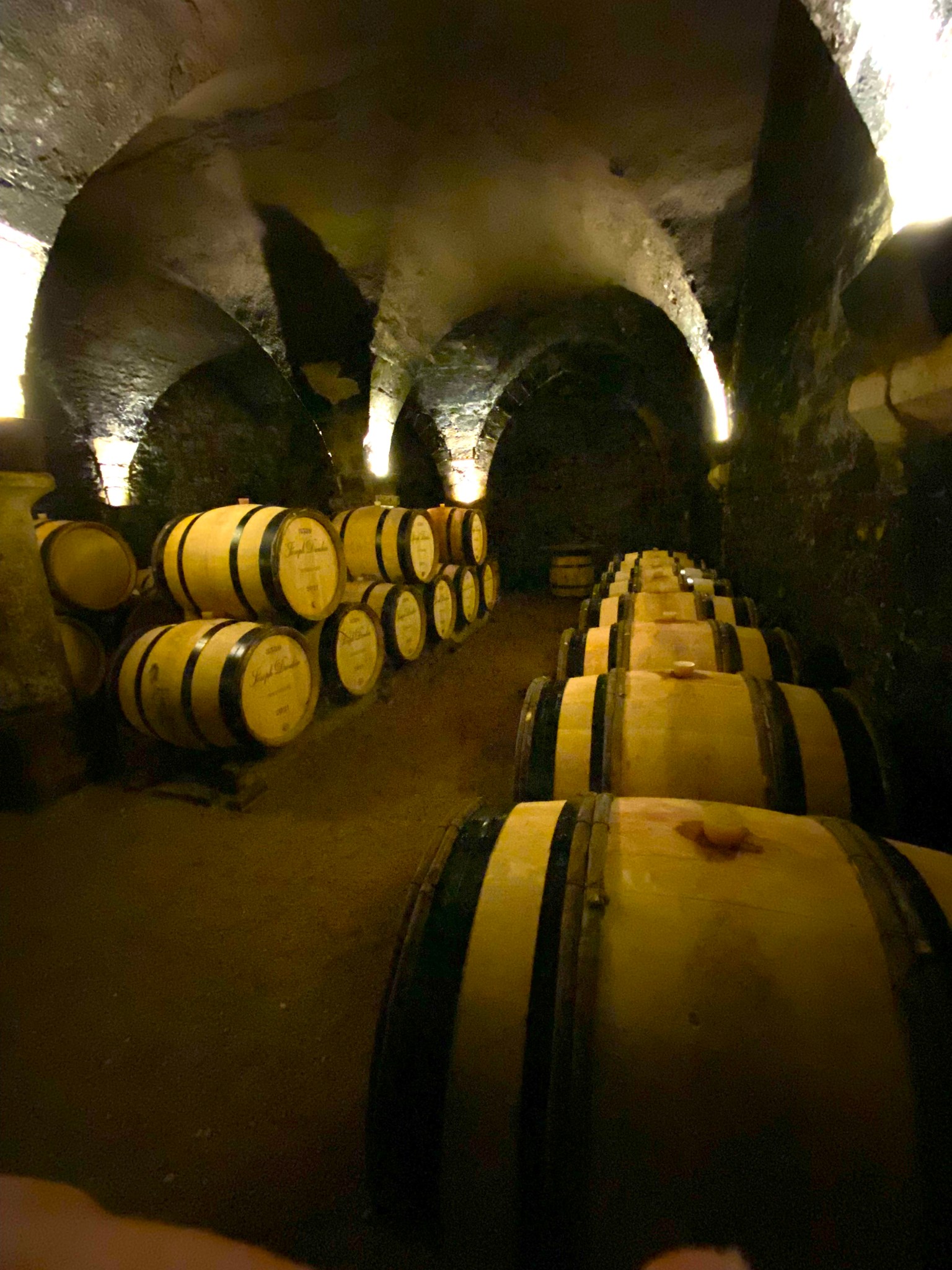 Touring Burgundy’s Legendary J. Drouhin Wine Cave! Wild Mold Storage ...