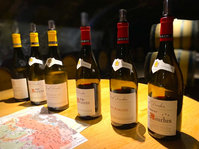 Touring Burgundy’s Legendary J. Drouhin Wine Cave! Wild Mold Storage ...