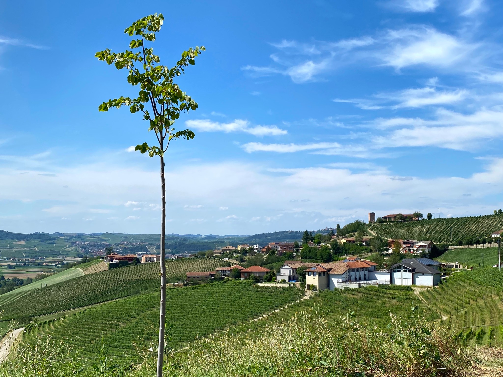 Have You Heard Of The Secret Village Of Guarene Italy? A Castle Stay ...