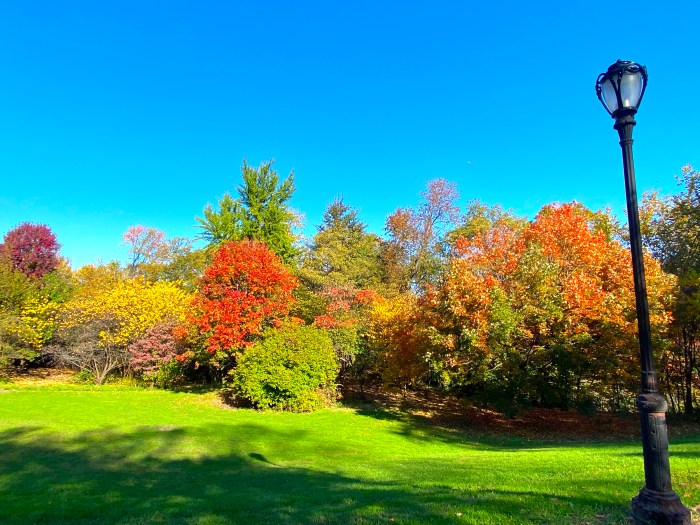 Central Park’s Spectacular Fall Foliage! Nature Shows Off In New York ...