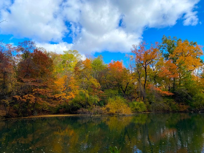 Central Park’s Spectacular Fall Foliage! Nature Shows Off In New York ...