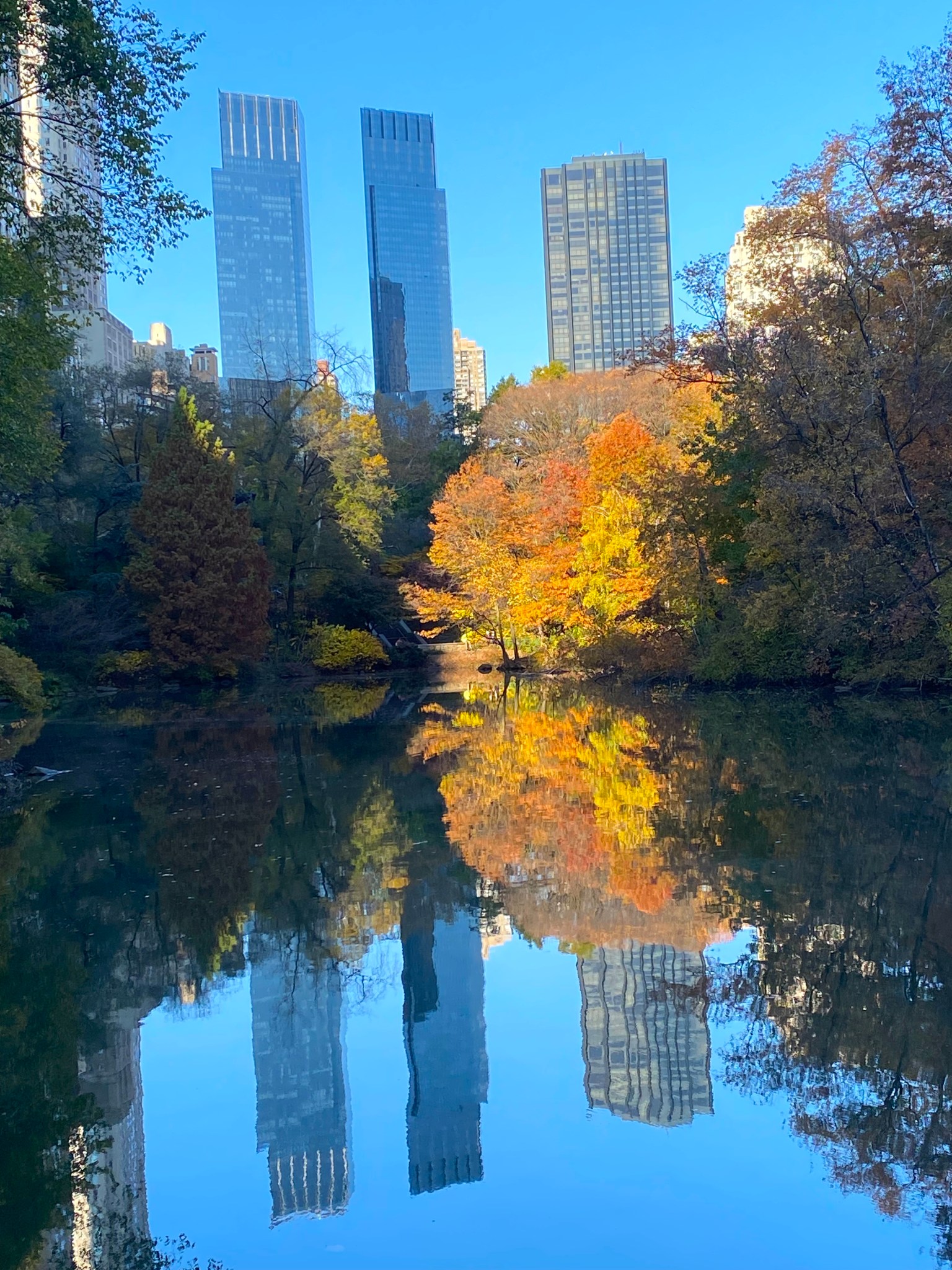 Central Park’s Spectacular Fall Foliage! Nature Shows Off In New York ...