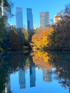 Central Park’s Spectacular Fall Foliage! Nature Shows Off In New York ...