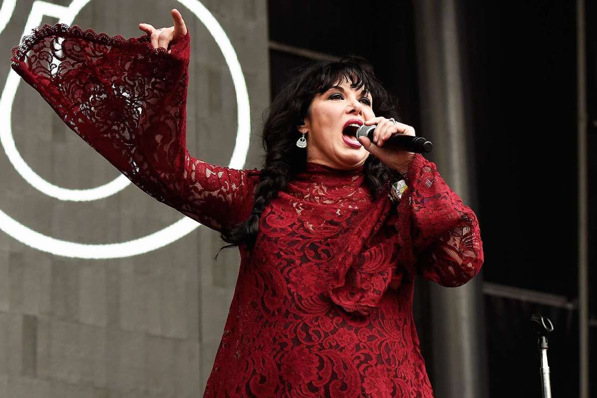 Ann Wilson’s Cancer Diagnosis….The Icon “Heart” Singer Shares Details ...
