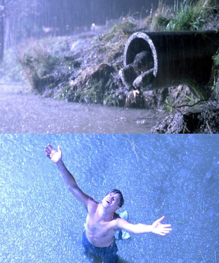 The “Shawshank Redemption” Secrets At 30: “The Poop Was Real!” Plus ...