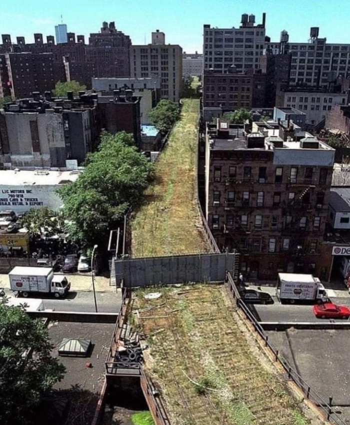 Have You Walked “The High Line?” New York’s Abandoned Elevated Railroad ...