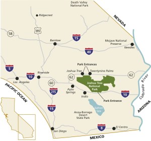 Joshua Tree’s Unique “Face Rocks” + A Culinary Oasis In The Desert ...