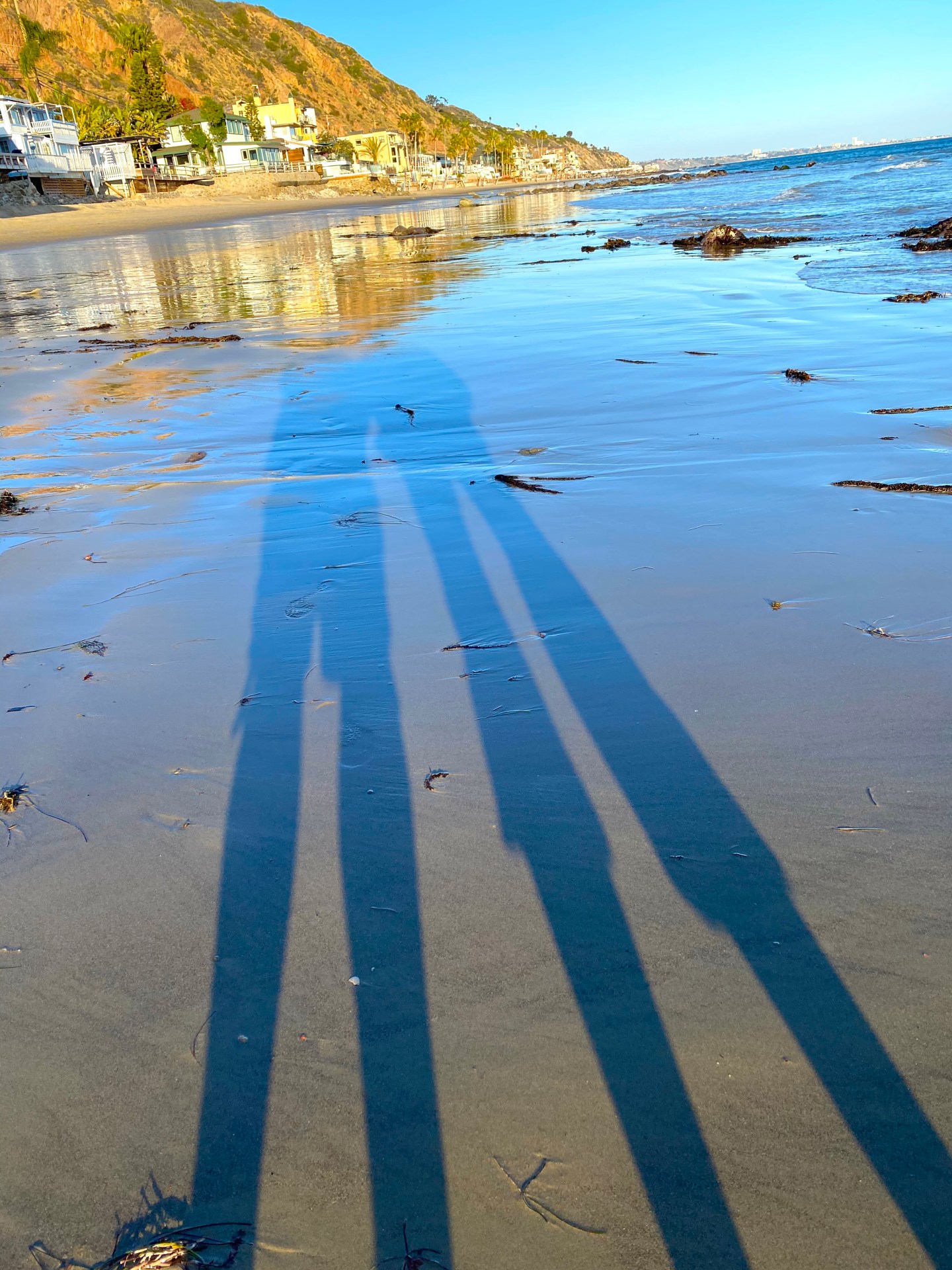 A Horrific Natural Disaster Up Close: The Beach Houses Of Pacific Coast ...