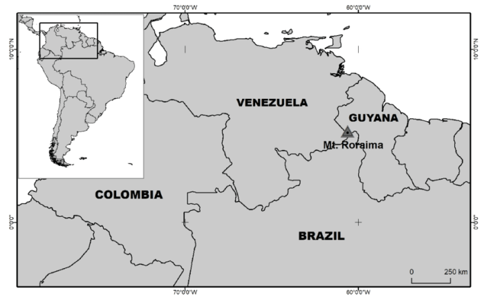 Have You Seen The Oldest Rock On Earth? Here’s Incredible – and ...
