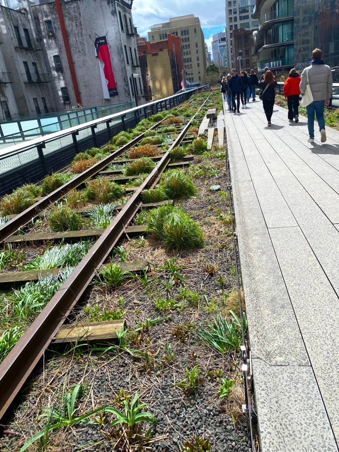 Have You Walked “The High Line?” New York’s Abandoned Elevated Railroad ...